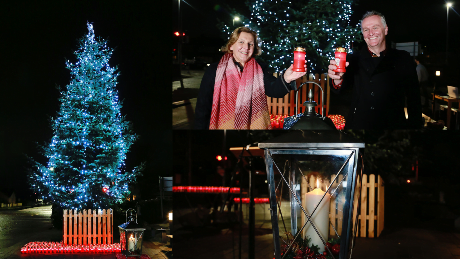 Galway Hospice Tree of Lights Celebration back to physical capacity ...